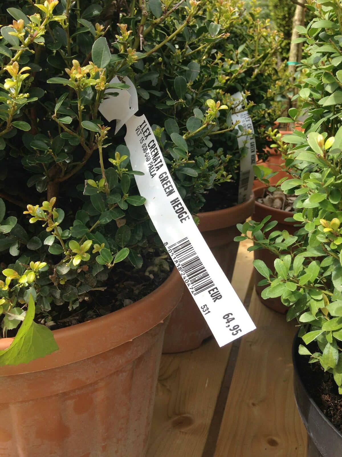 APR 1, the competitive ribbon expanding armor's wax-resin product range ...